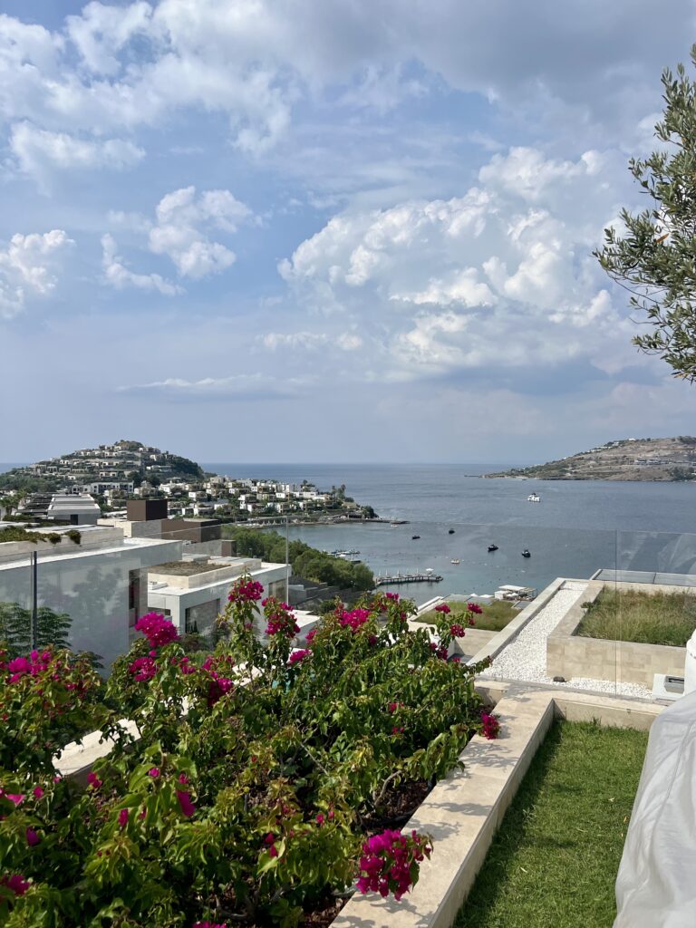 Review of the Bodrum Edition – Fig & Olive Platter