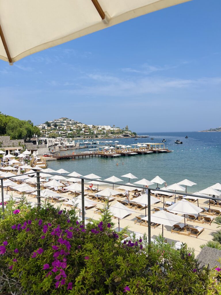 Review of the Bodrum Edition – Fig & Olive Platter